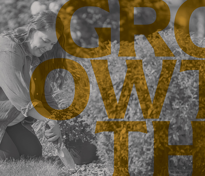 Bravera | ND, MN & MT Banking, Insurance & Wealth Management